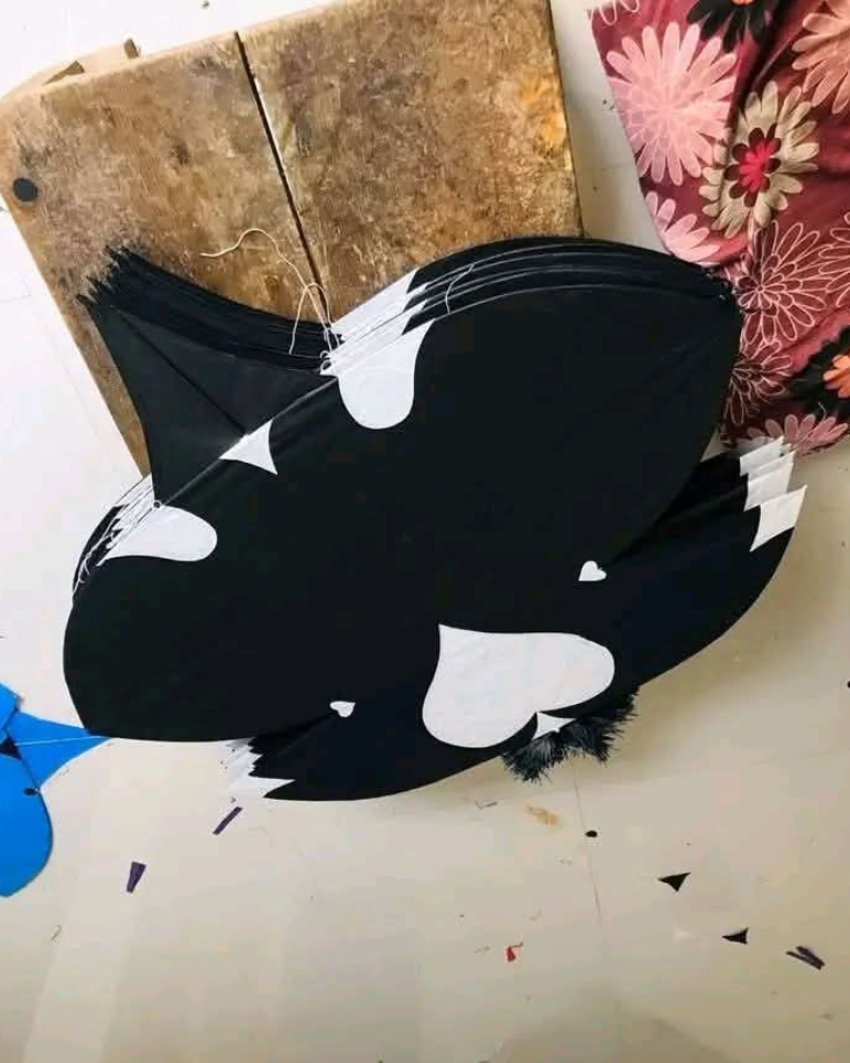 Patang 16 - Basant Kite Flying Festival Pakistan